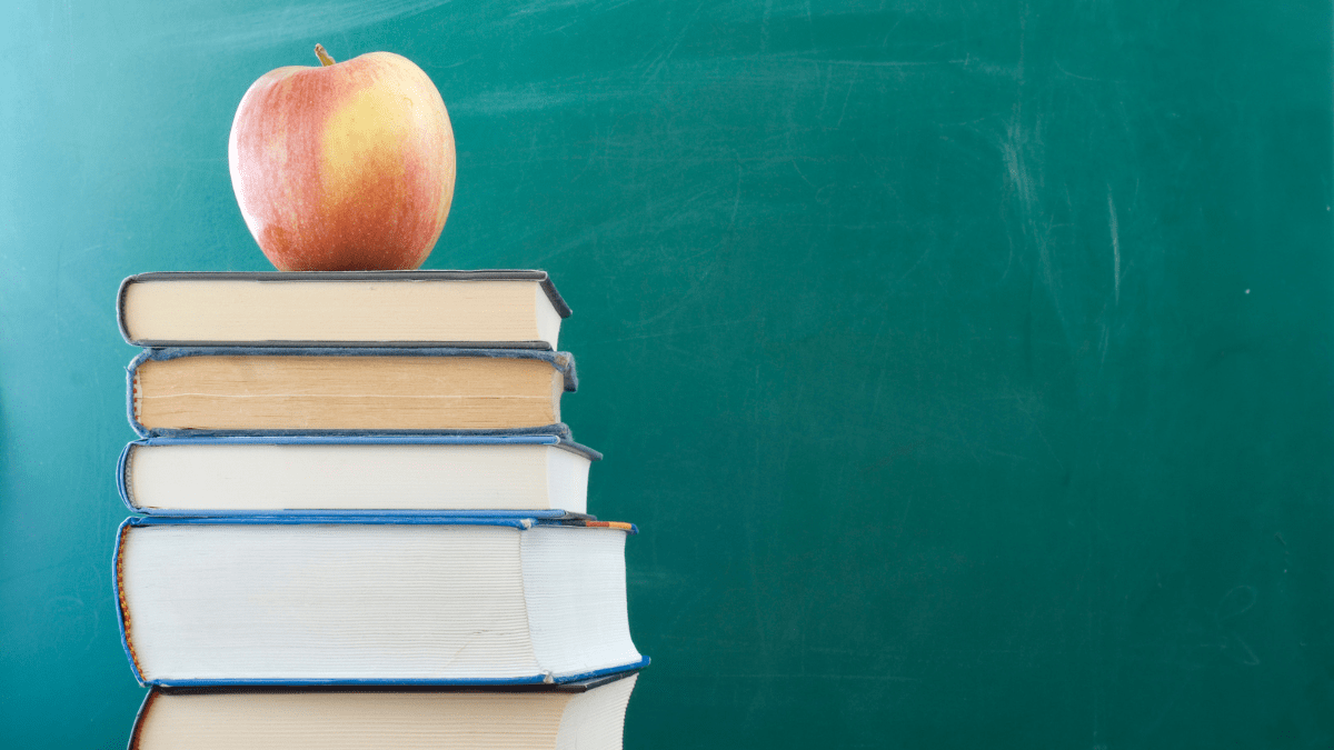 Special educational needs in mainstream schools